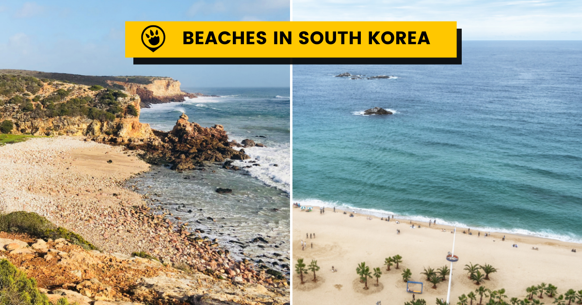 10 Beaches in South Korea to Visit For a Fun-Filled Adventure