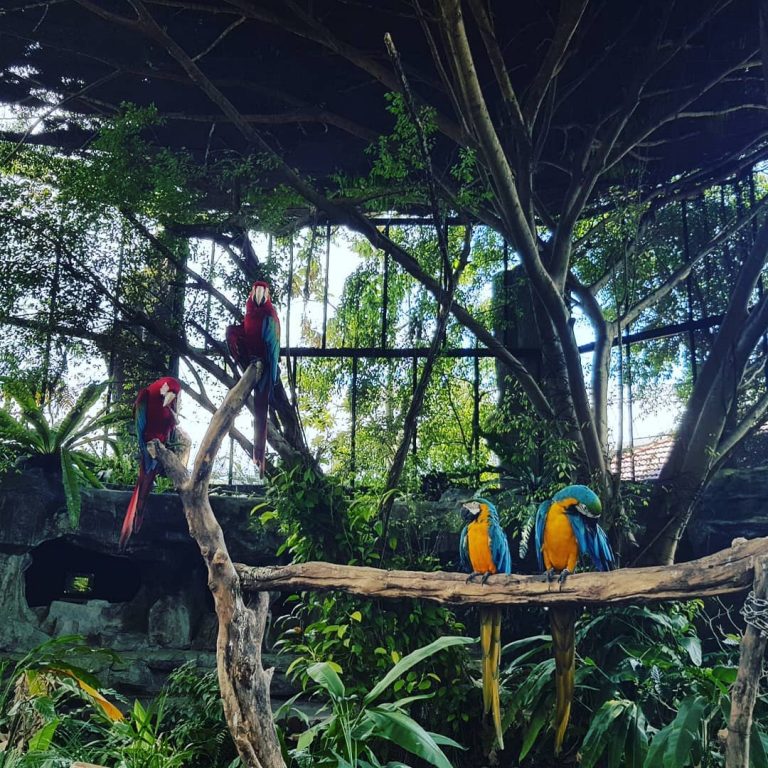 Sentosa’s Hidden Gems: 7 Attractions You Might Not Know About