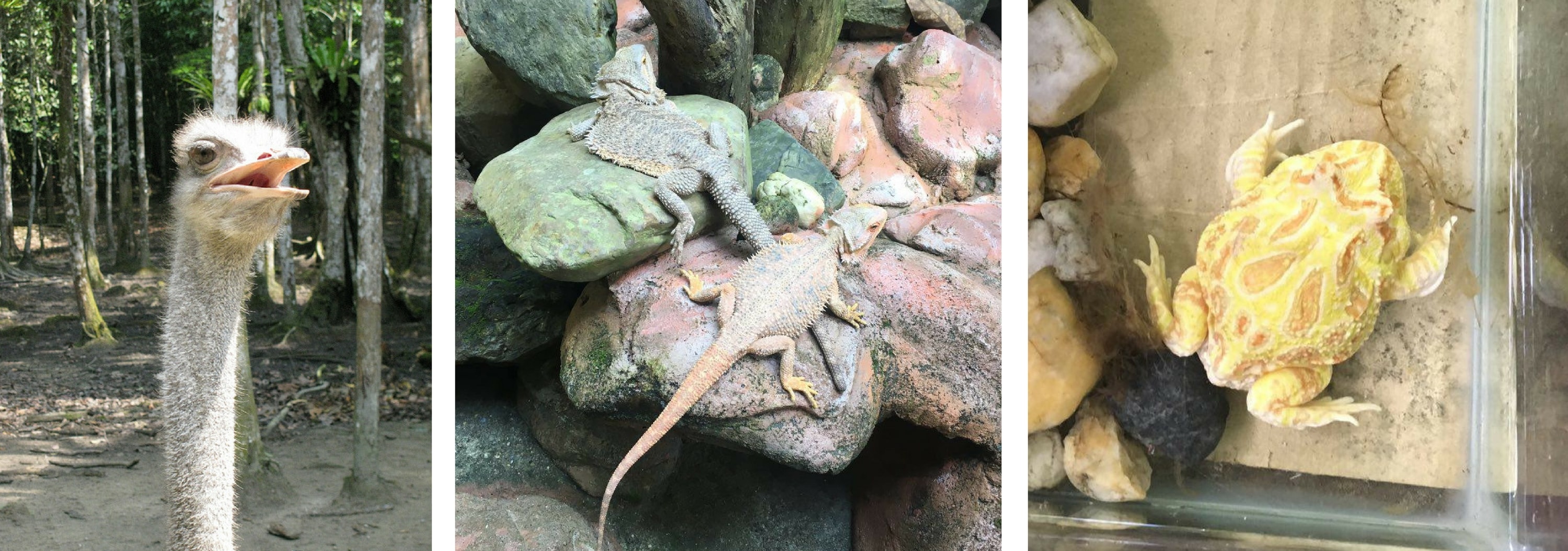 Untitled-design-min - TripZilla