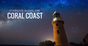 featured-images-articles2 - TripZilla