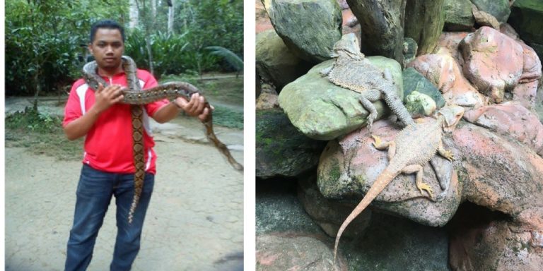 7 Reasons Why Temerloh, Malaysia is Perfect for Your Next Weekend Getaway