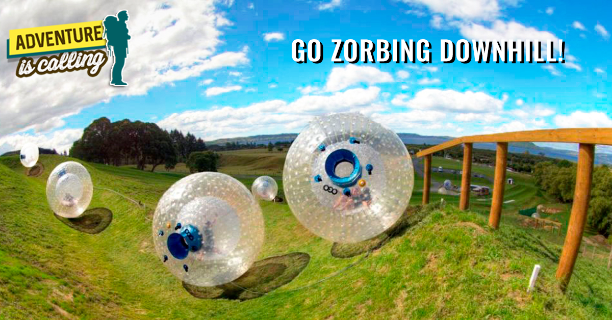 2017-08-16 - TripZilla