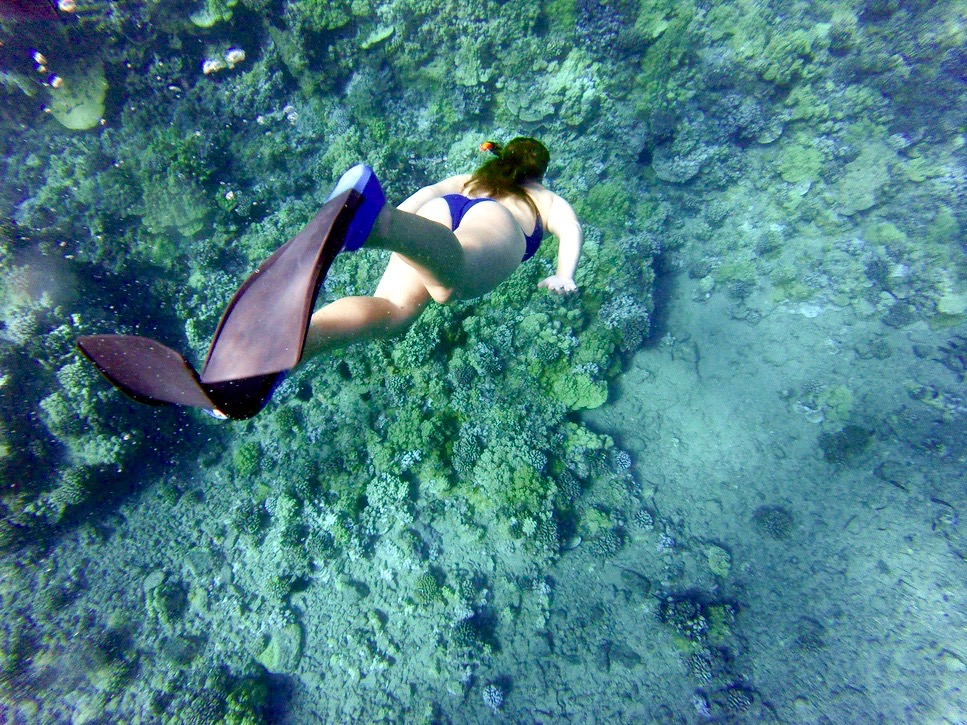 2018-01-25 - TripZilla