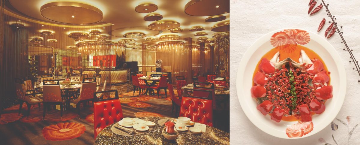 BeFunky-Collage1 - TripZilla