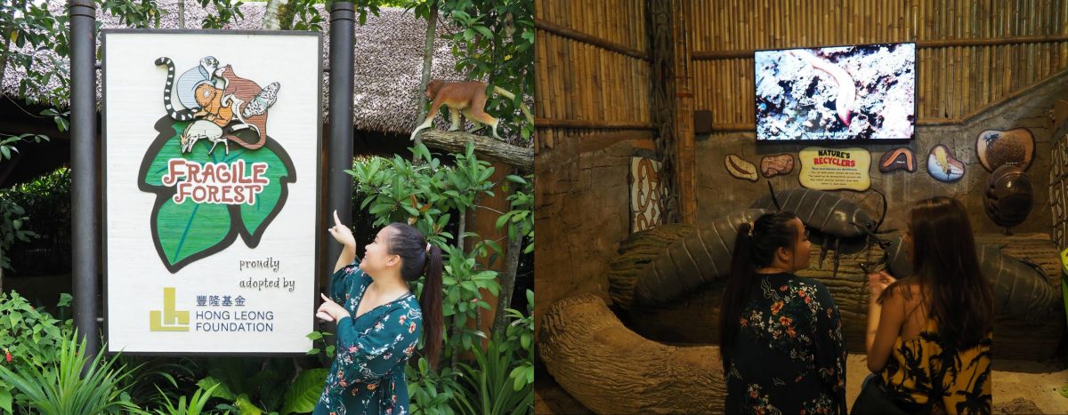 BeFunky-Collage41 - TripZilla