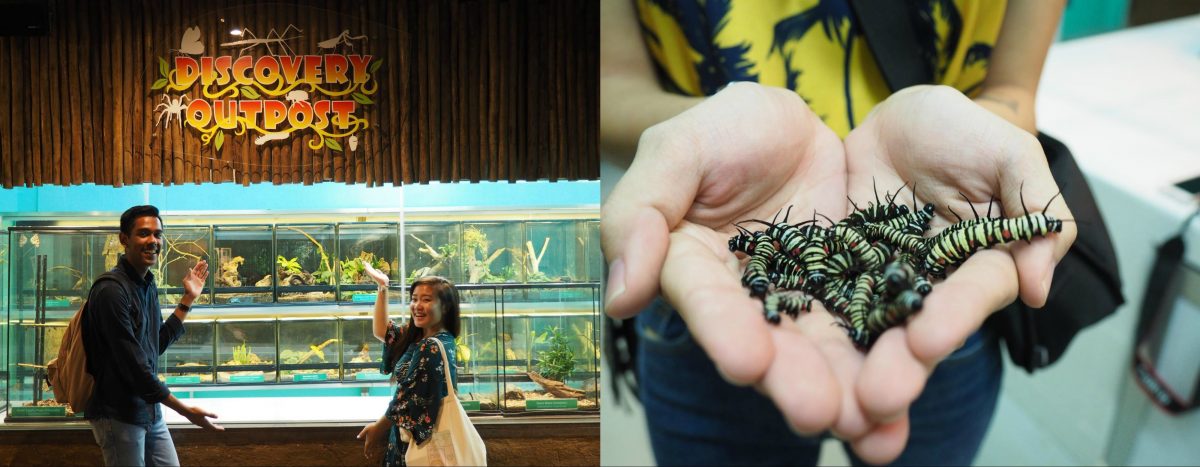 BeFunky-Collage5 - TripZilla