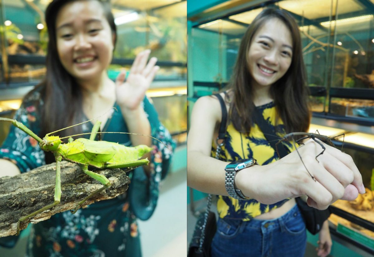 BeFunky-Collage6 - TripZilla