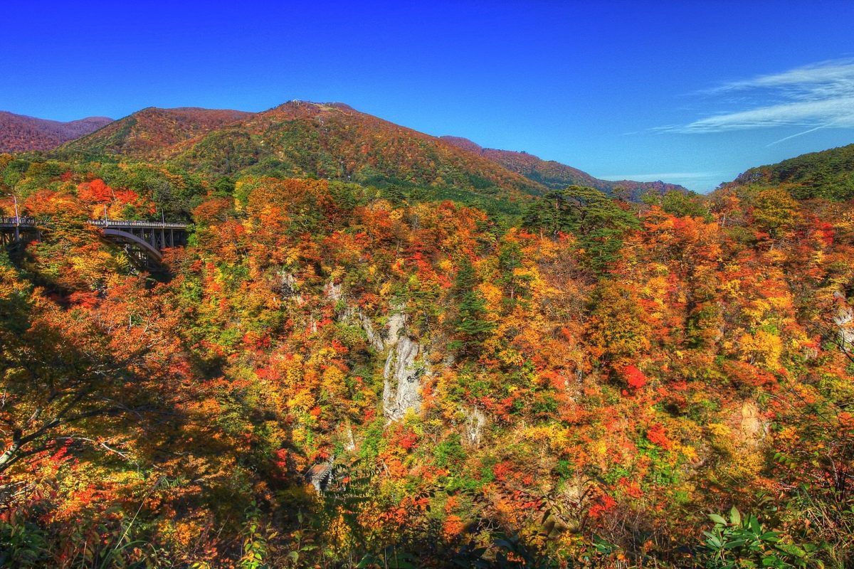 Discovering Japan: 2 Scenic Autumn Itineraries that Maximize the JR ...