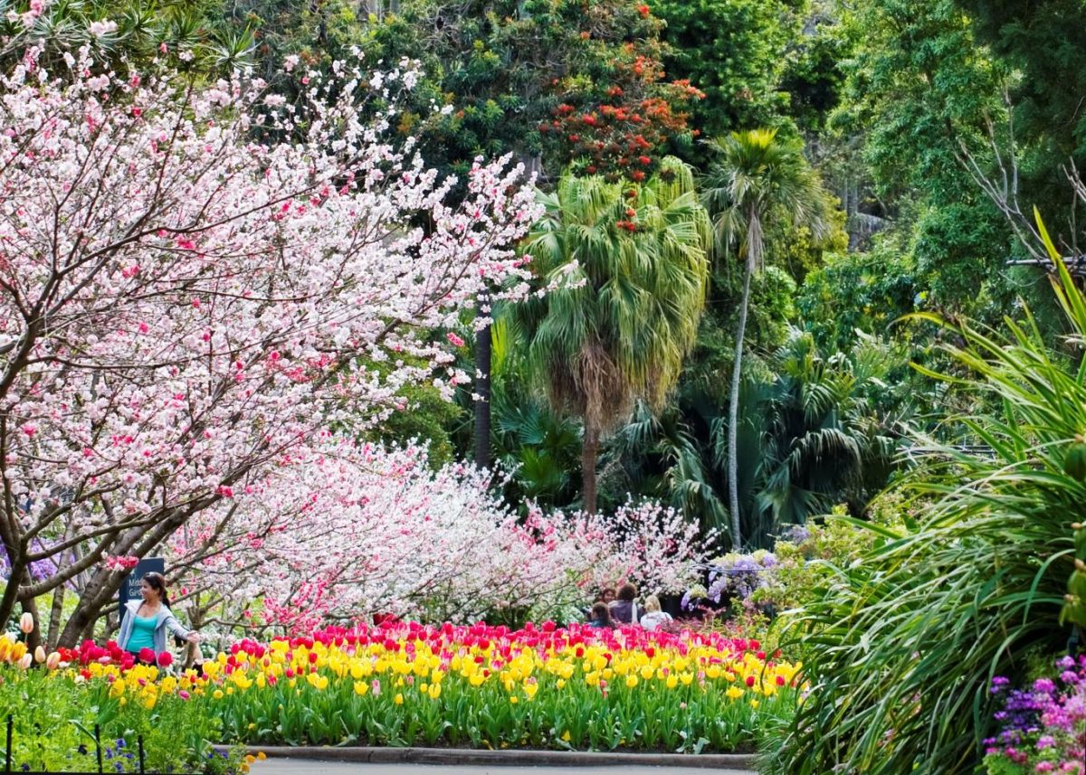 15 Things to Do in Sydney During Spring To Create Insta-Worthy Moments