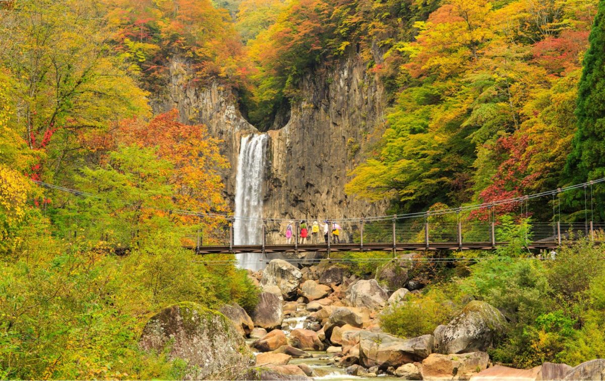 Exploring the Nagano & Niigata Regions: Best Autumn Viewing Spots, Food ...