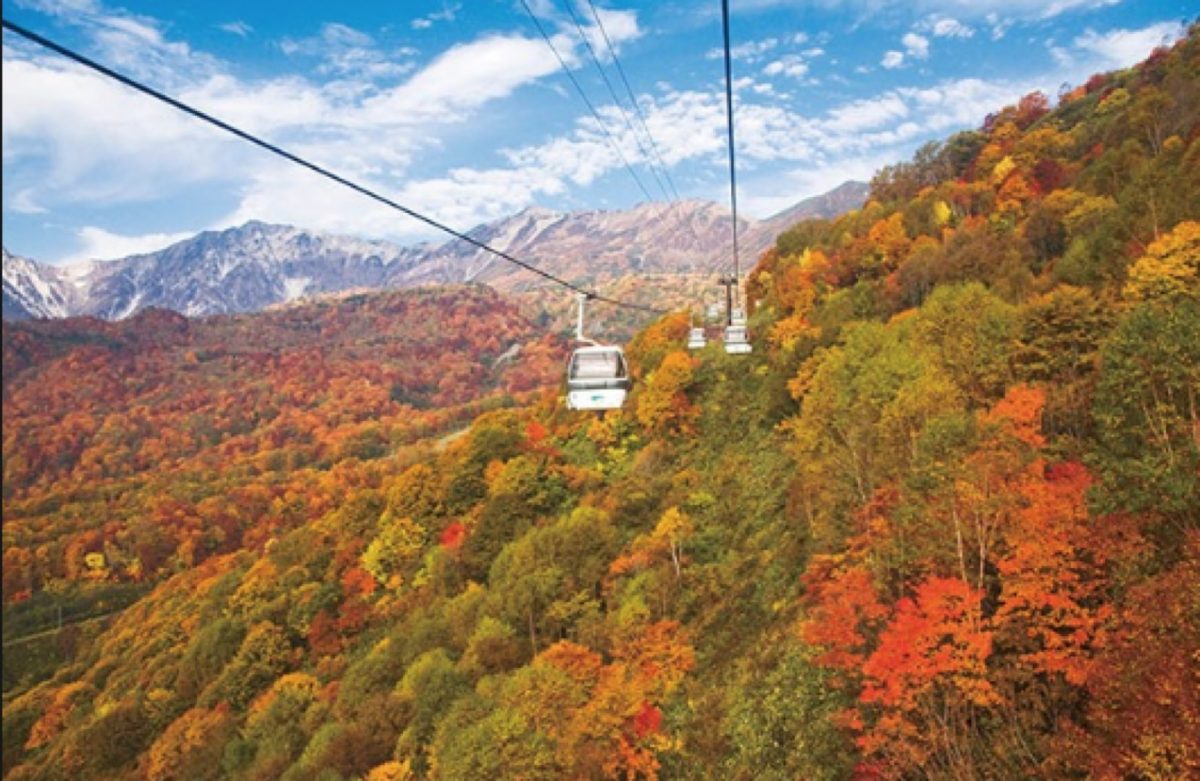 Exploring the Nagano & Niigata Regions: Best Autumn Viewing Spots, Food ...
