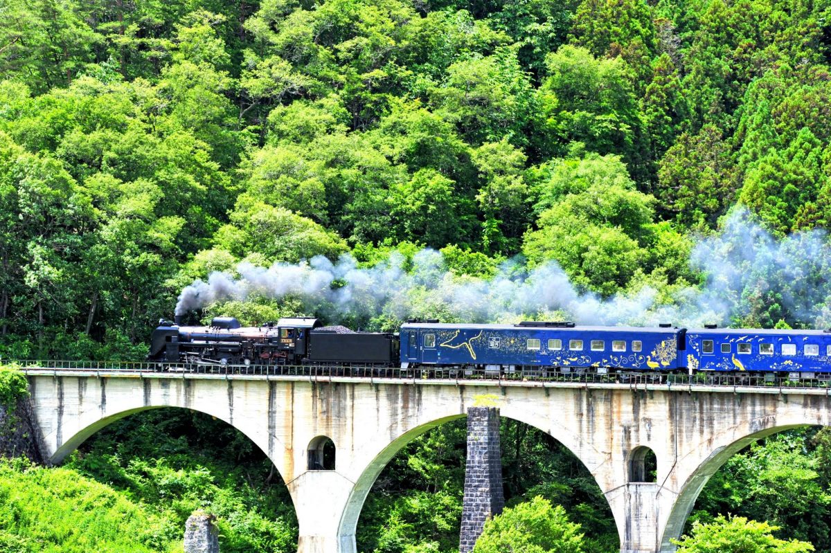 11 Uniquely Themed Trains in Japan You Must Try On Your Next Trip
