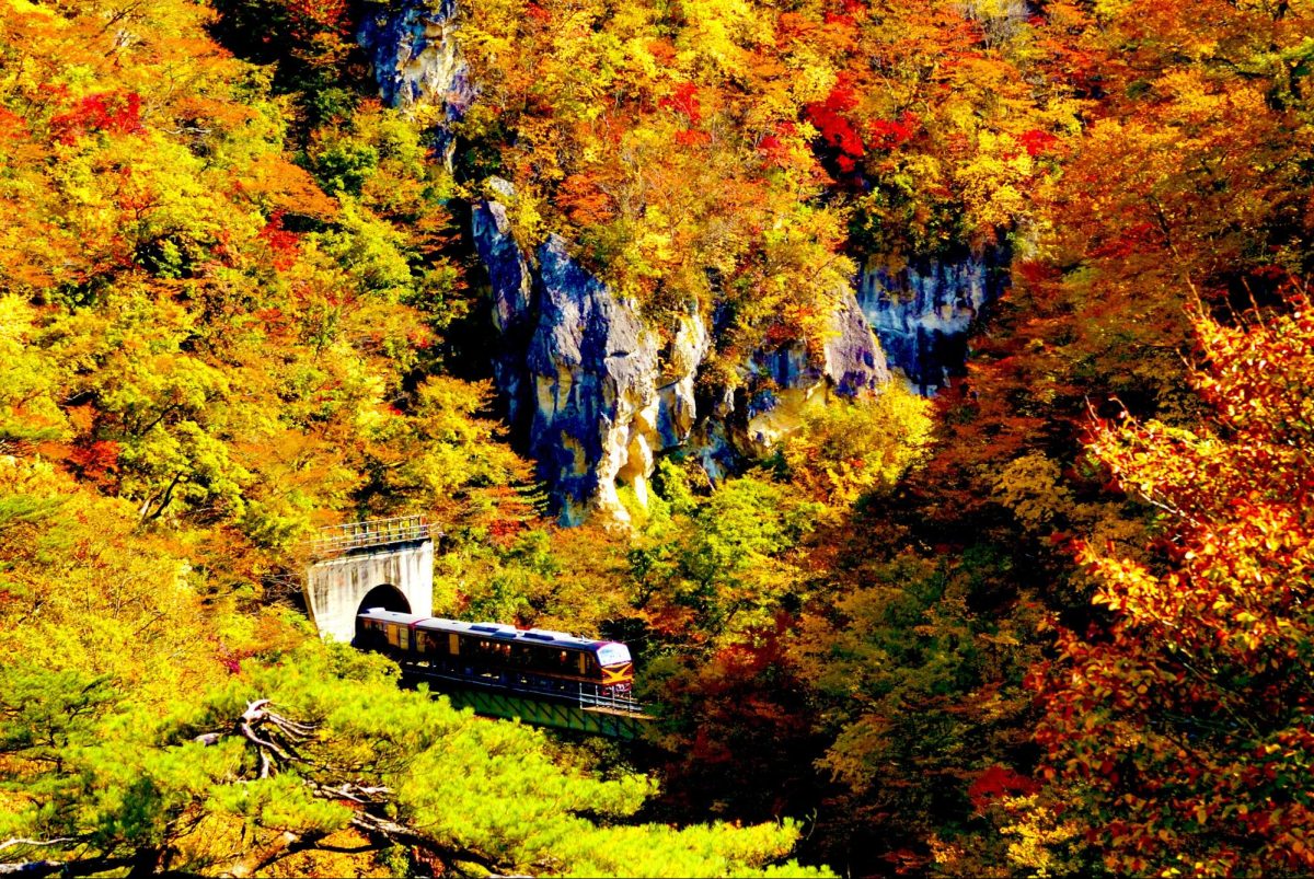 11 Uniquely Themed Trains in Japan You Must Try On Your Next Trip