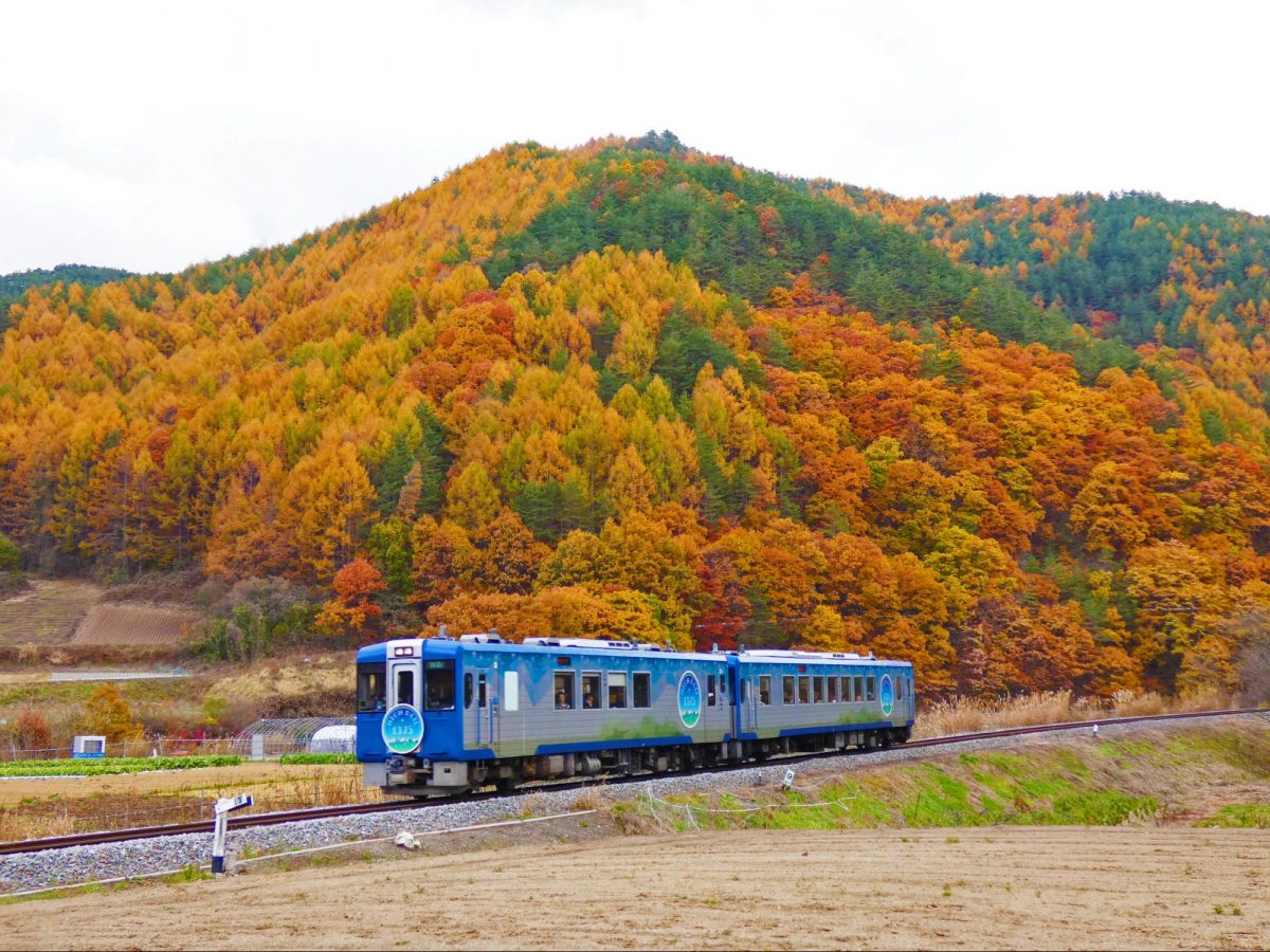 11 Uniquely Themed Trains in Japan You Must Try On Your Next Trip