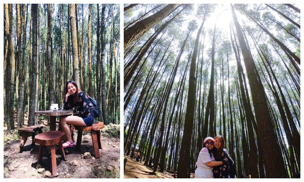 image2-3 - TripZilla