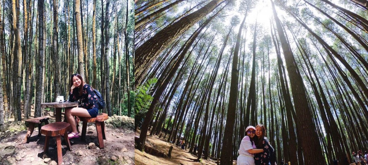 BeFunky-collage-31 - TripZilla