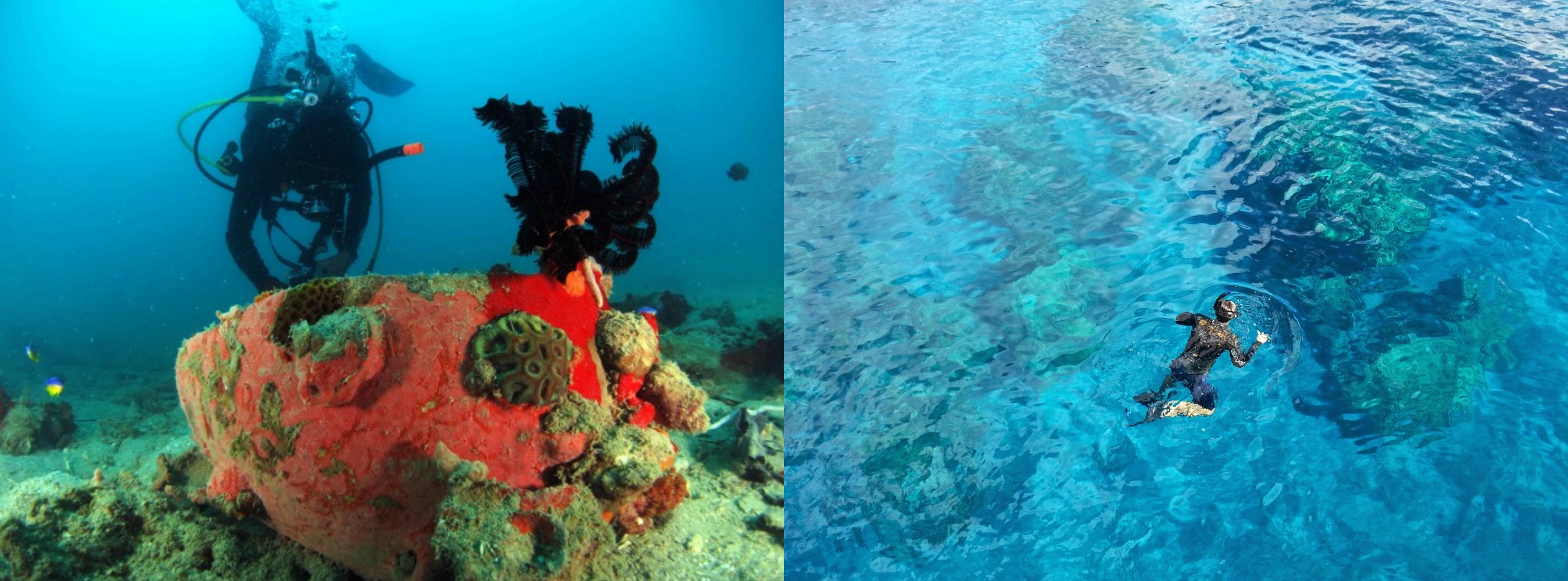 image2-8 - TripZilla