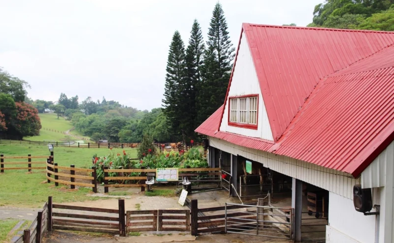 Skip Taipei: 6 Best Leisure Farms to Visit in Rural Taiwan
