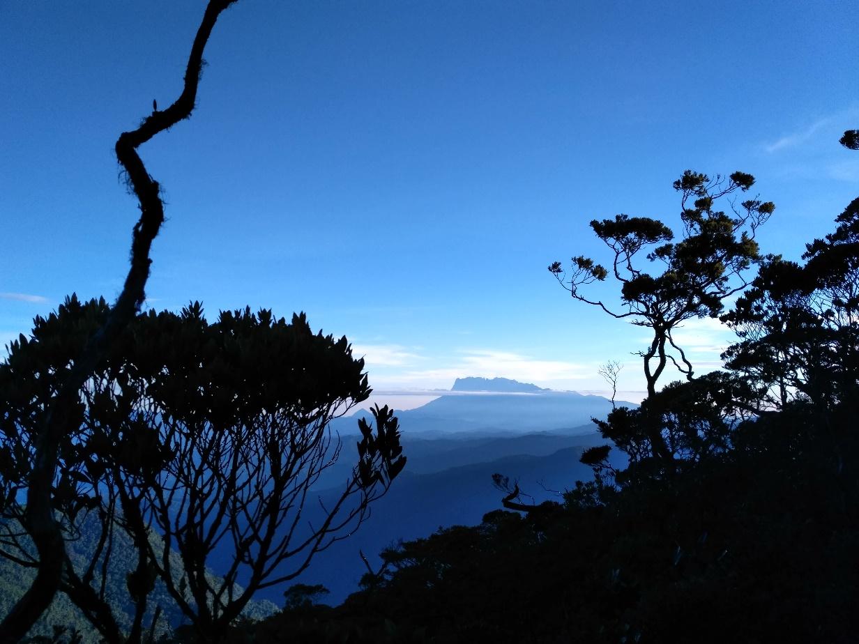 A Guide to Climbing Mount Trusmadi