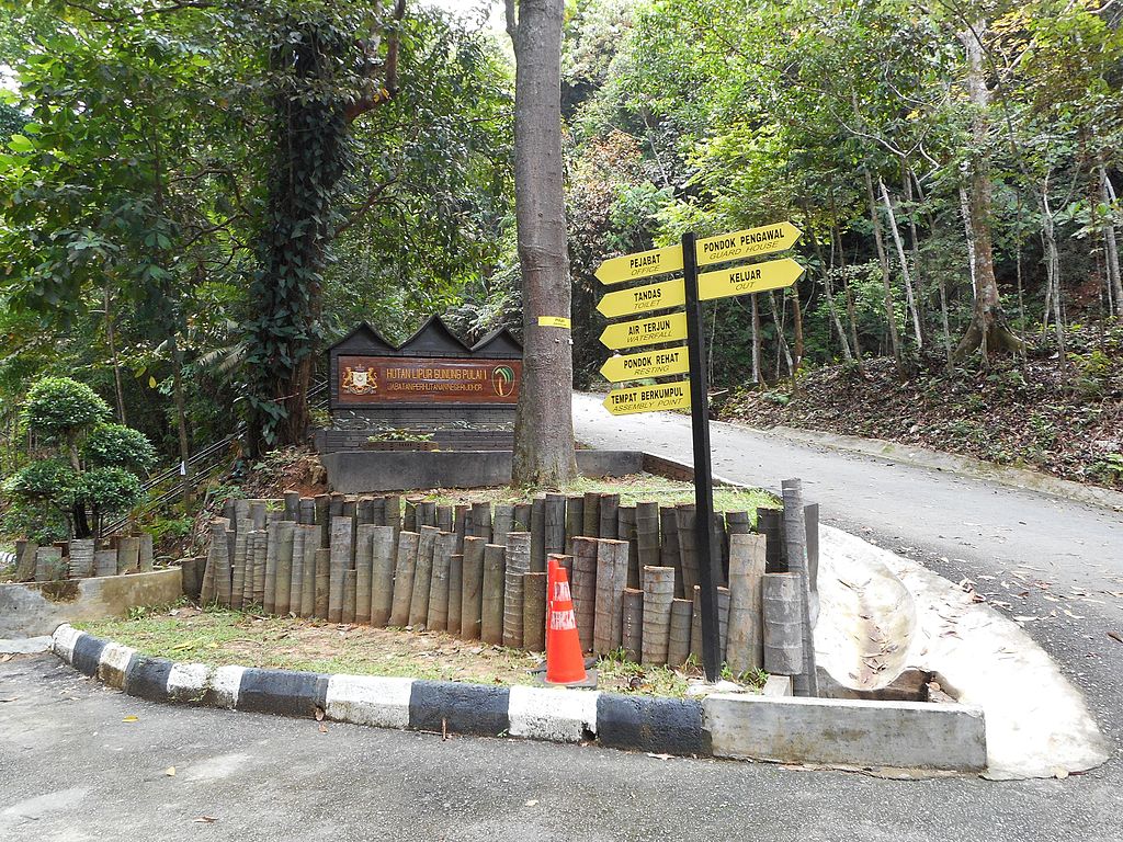 Mount_Pulai_1_Recreational_Forest - TripZilla