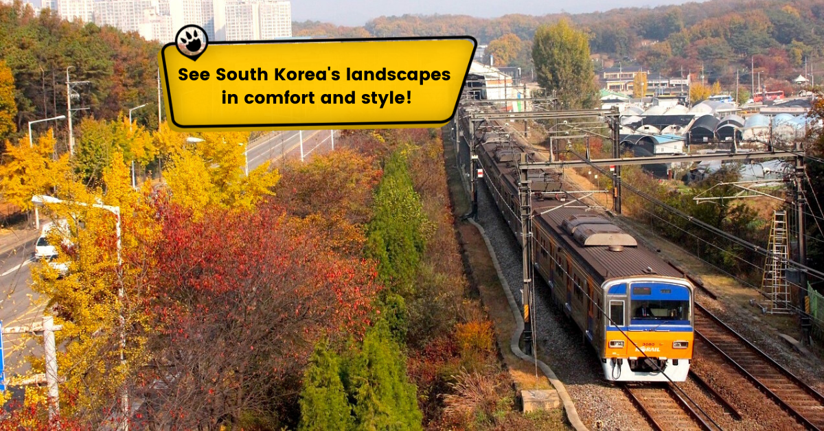All The Scenic Train Rides in Korea That You Need to Know!