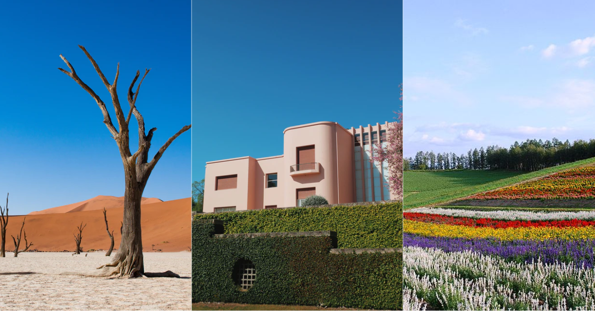 My Post (1) - TripZilla