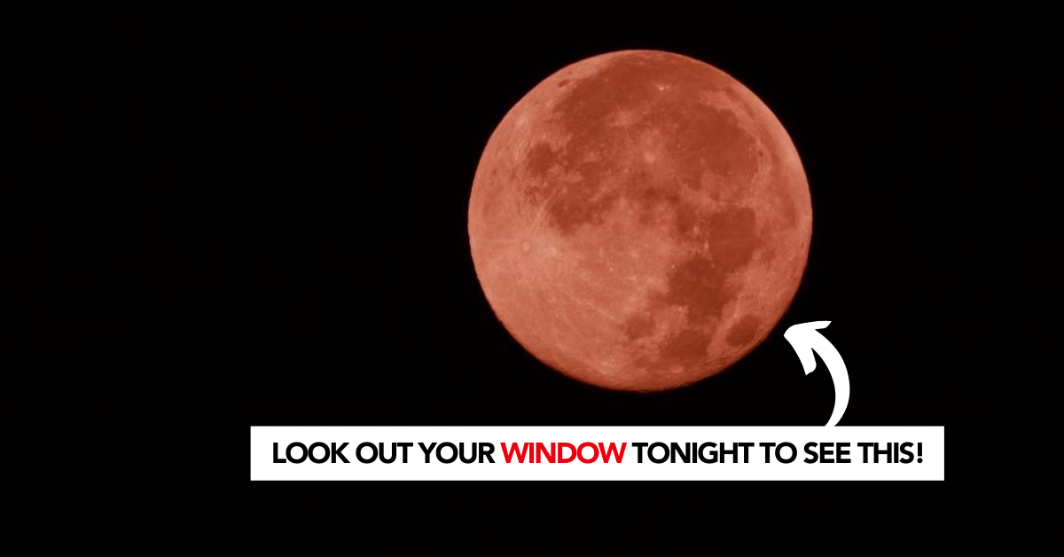 8 Best Places In Singapore To Catch The Super Worm Moon