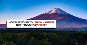 Berlin Guide (4) - TripZilla