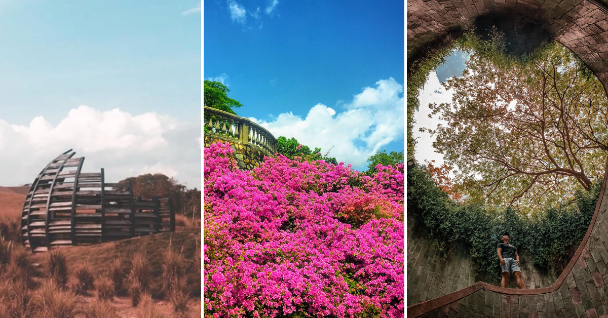 Escape to The Great Outdoors: 6 Best Places to Hike in Singapore