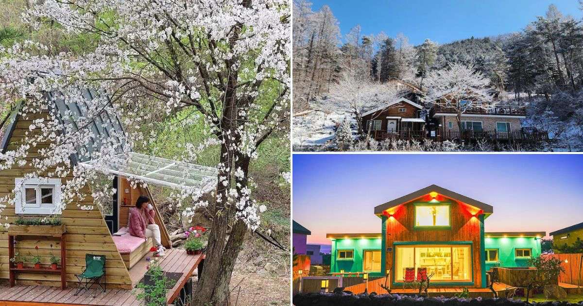 13 Airbnb Cabins in South Korea for a Magical Retreat in the Woods ...