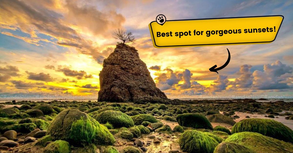 COM FB In-Image Text (Shawn) (46) - TripZilla