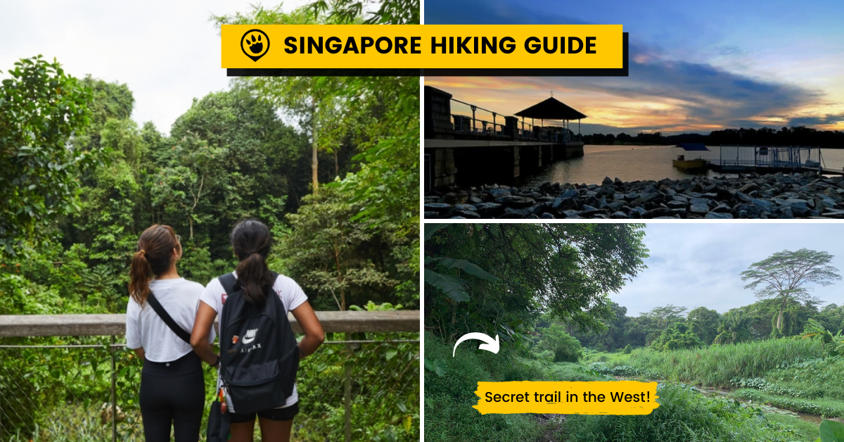 23 Hiking & Nature Trails in Singapore to Explore on Your Weekends
