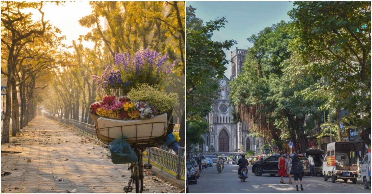 Millions of Hanoi Trees Turn Vietnam's Capital Into a ‘Garden City’
