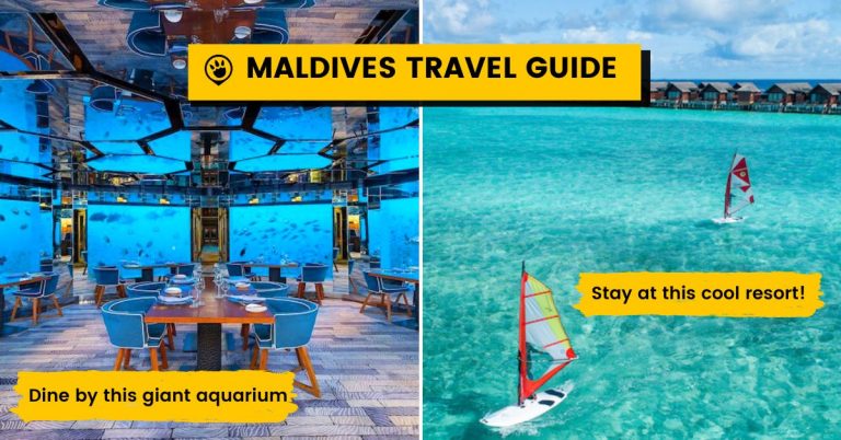 2022 maldives guide - TripZilla