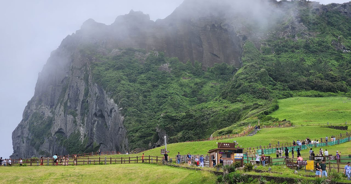 jeju island guide - TripZilla