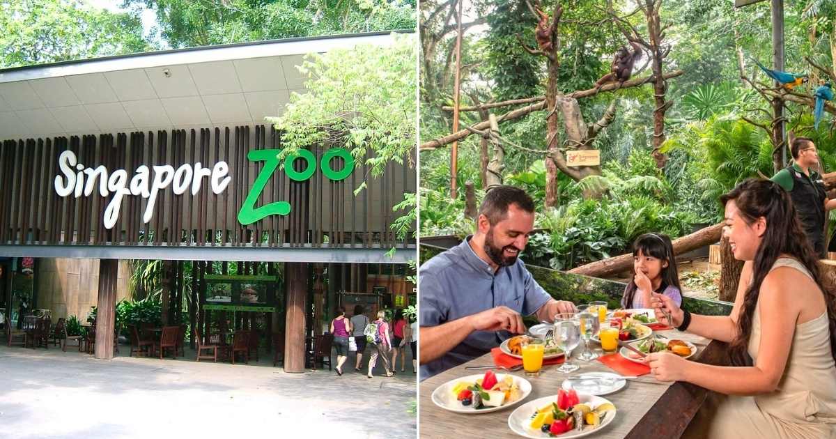 Singapore Zoo’s “Breakfast in the Wild” Is Back: What You Need to Know
