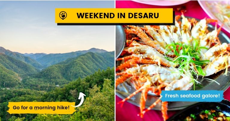 things to do desaru - TripZilla