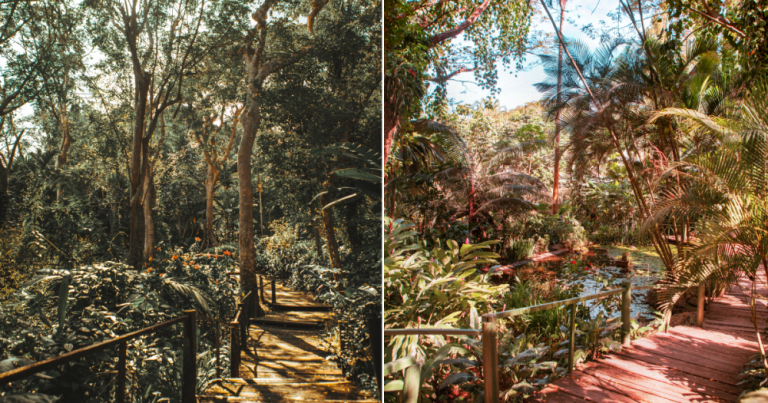 fiji2 new - TripZilla