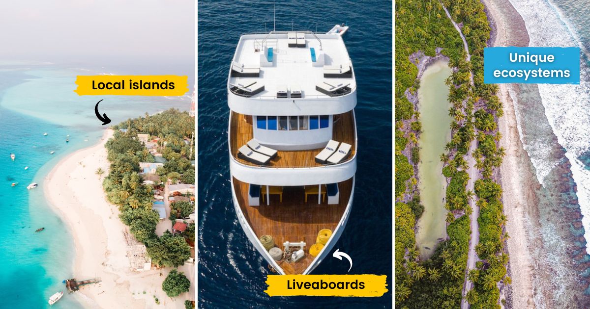 An Introduction to the Maldives: What to Know About Travelling There