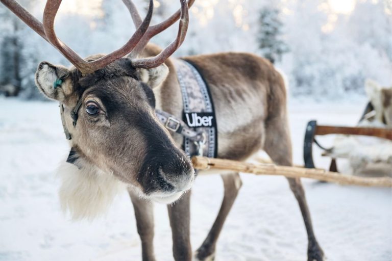 Uber Introduces Reindeer Sleigh Rides for Travellers in Lapland