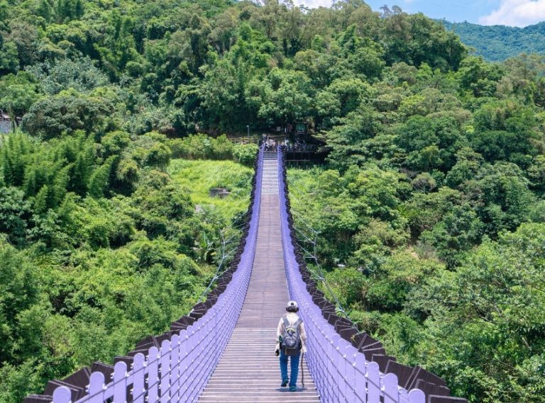 Winter in Taiwan: 14 Best Things to See, Do, and Experience