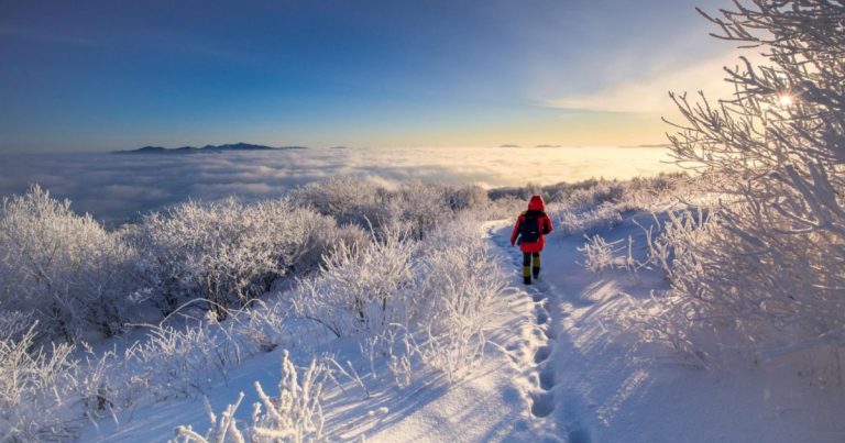 wp-featured-winter-in-korea - TripZilla
