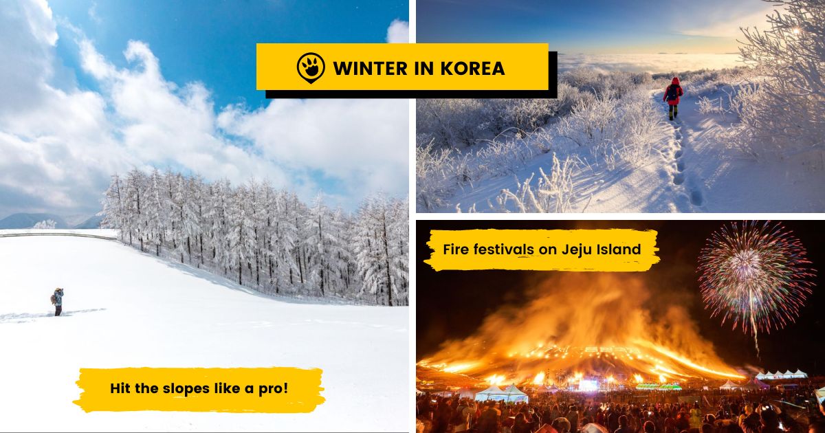 fb-featured-winter-in-korea - TripZilla