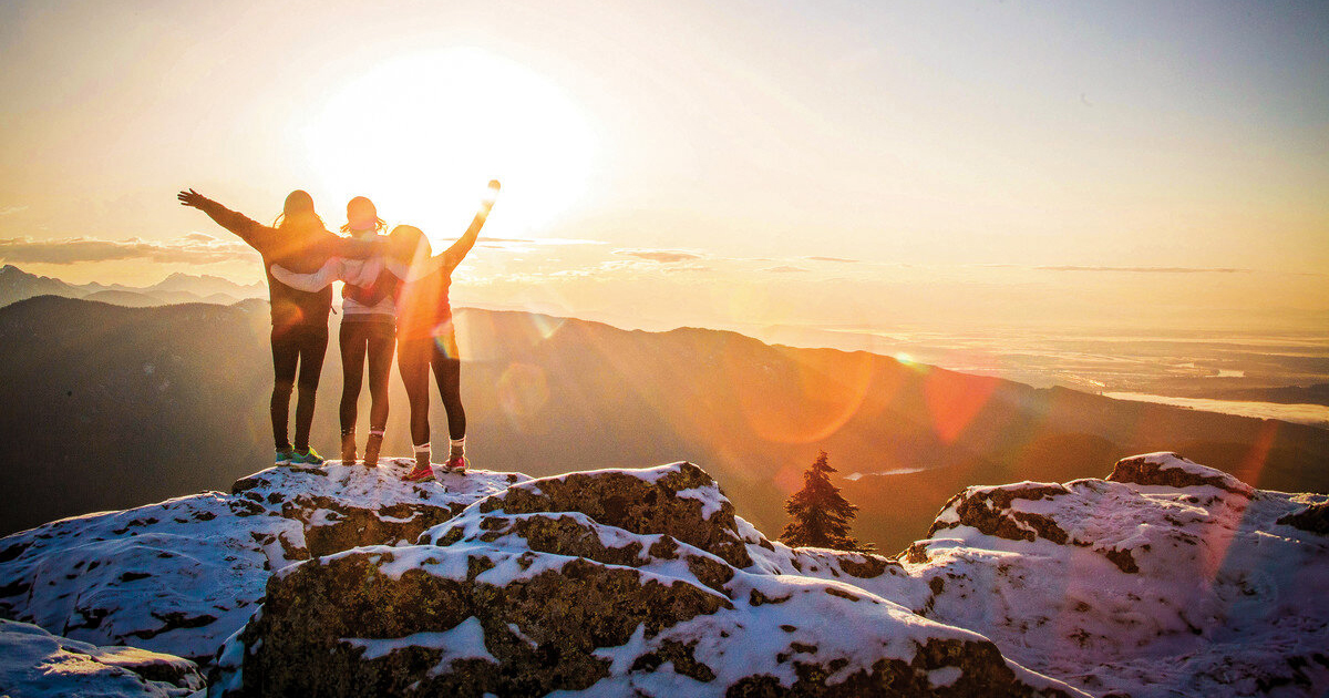 contiki wp - TripZilla