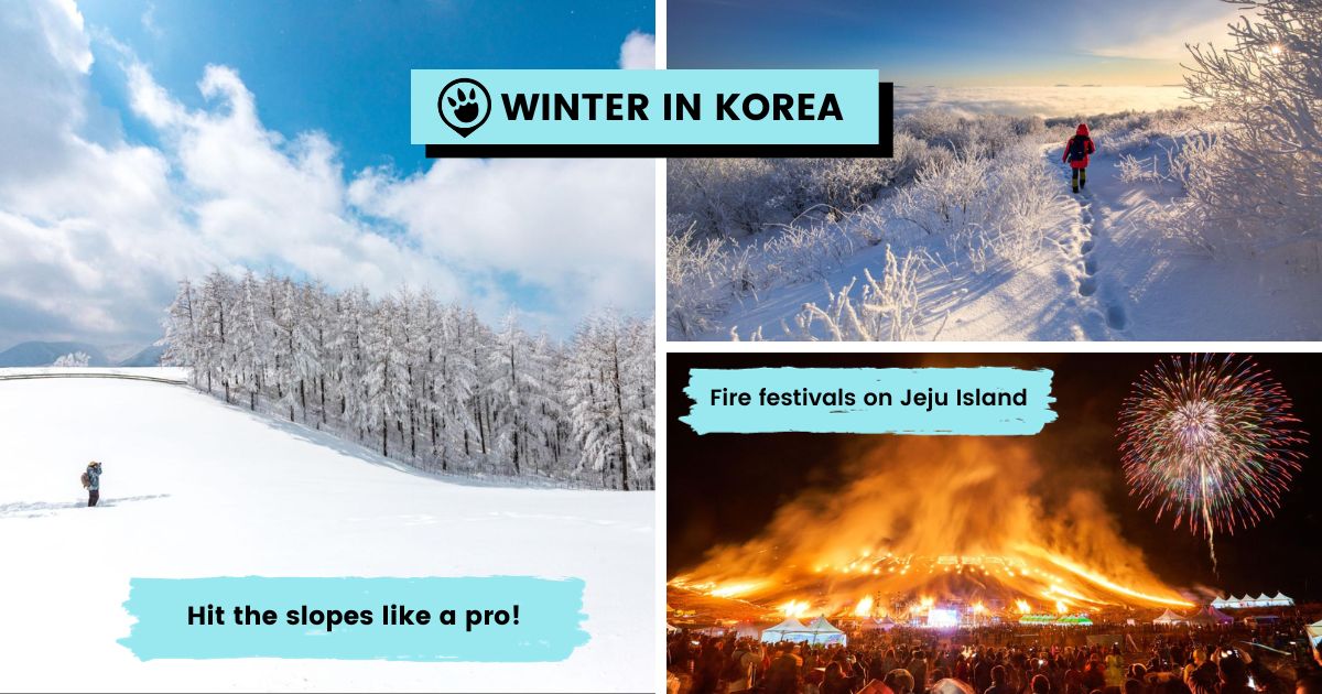 Winter in Korea: 9 Magical Experiences for Your Snowy Getaway