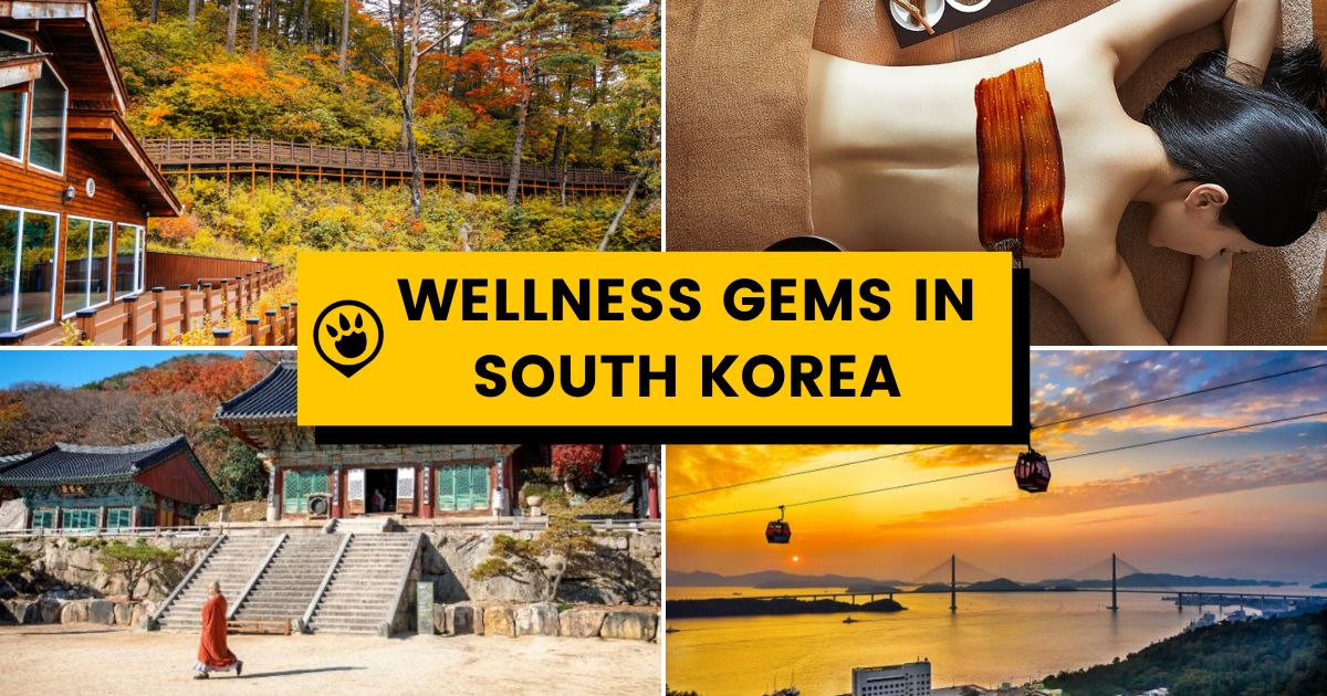Wellness in South Korea: 8 Hidden Gems for a Therapeutic Escape