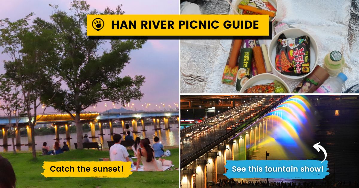 Han River Picnic Guide: Everything You Need to Know