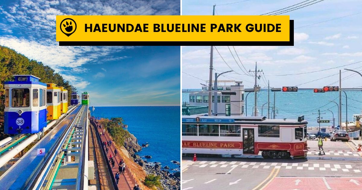 Haeundae Blueline Park: A Guide to Busan's Sky Capsule & Beach Train