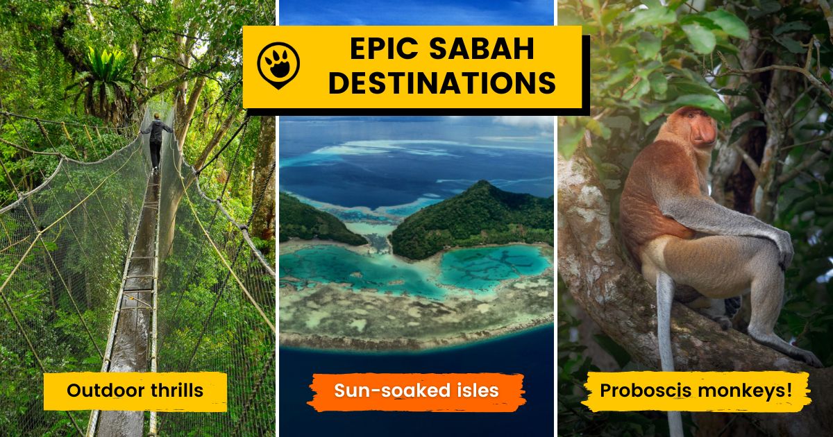 Bucket List Dreams: 5 Must-Visit Sabah Destinations You'll Regret Missing
