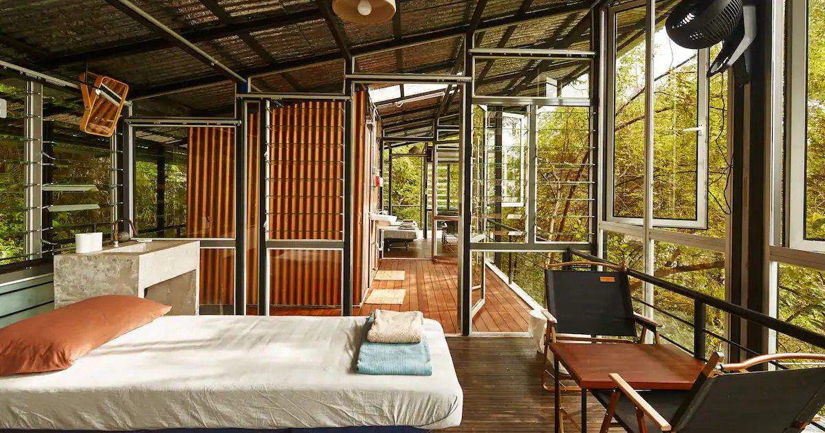 wp img treehouse malaysia - TripZilla